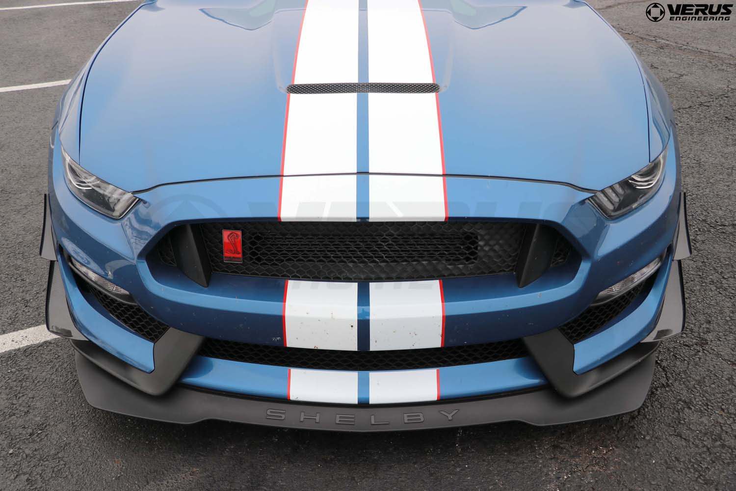 Dual-Element Dive Plane (Canard) Kit - Ford Mustang Shelby GT350 ...